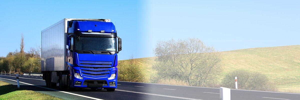 Servicii transport terestru